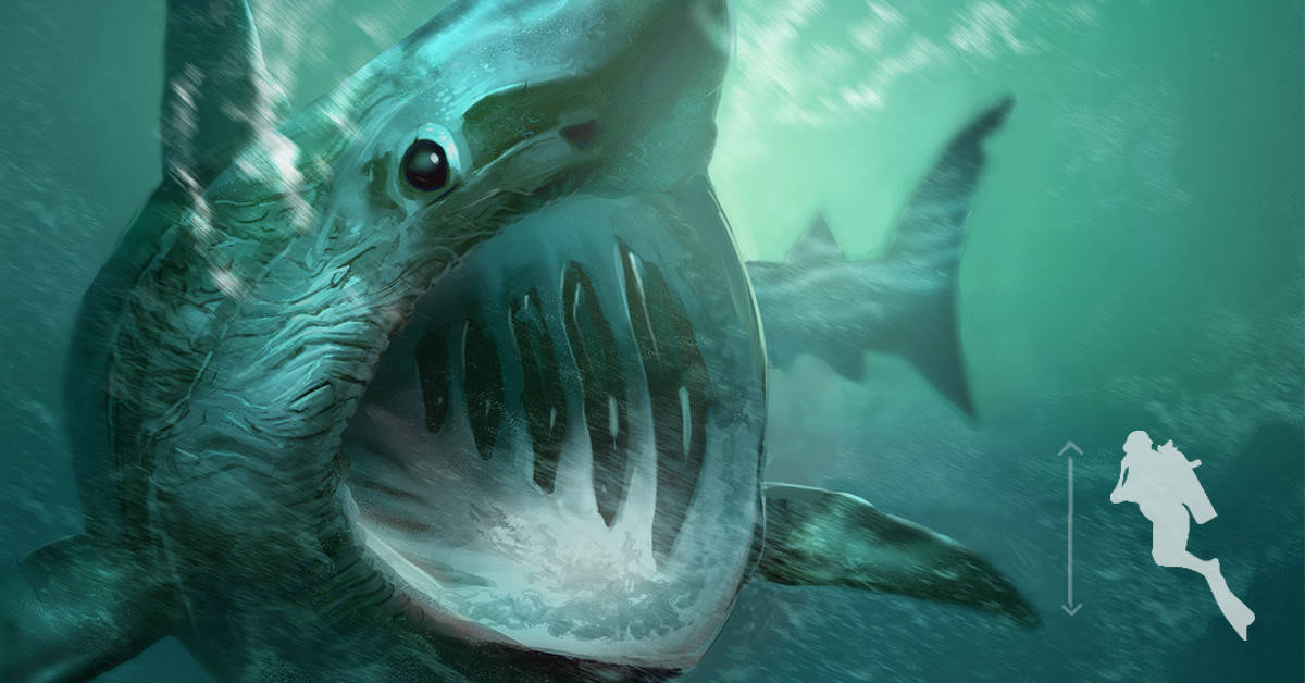 8 animaux terrifiants mais qui sont en réalité inoffensifs – OhChouette!